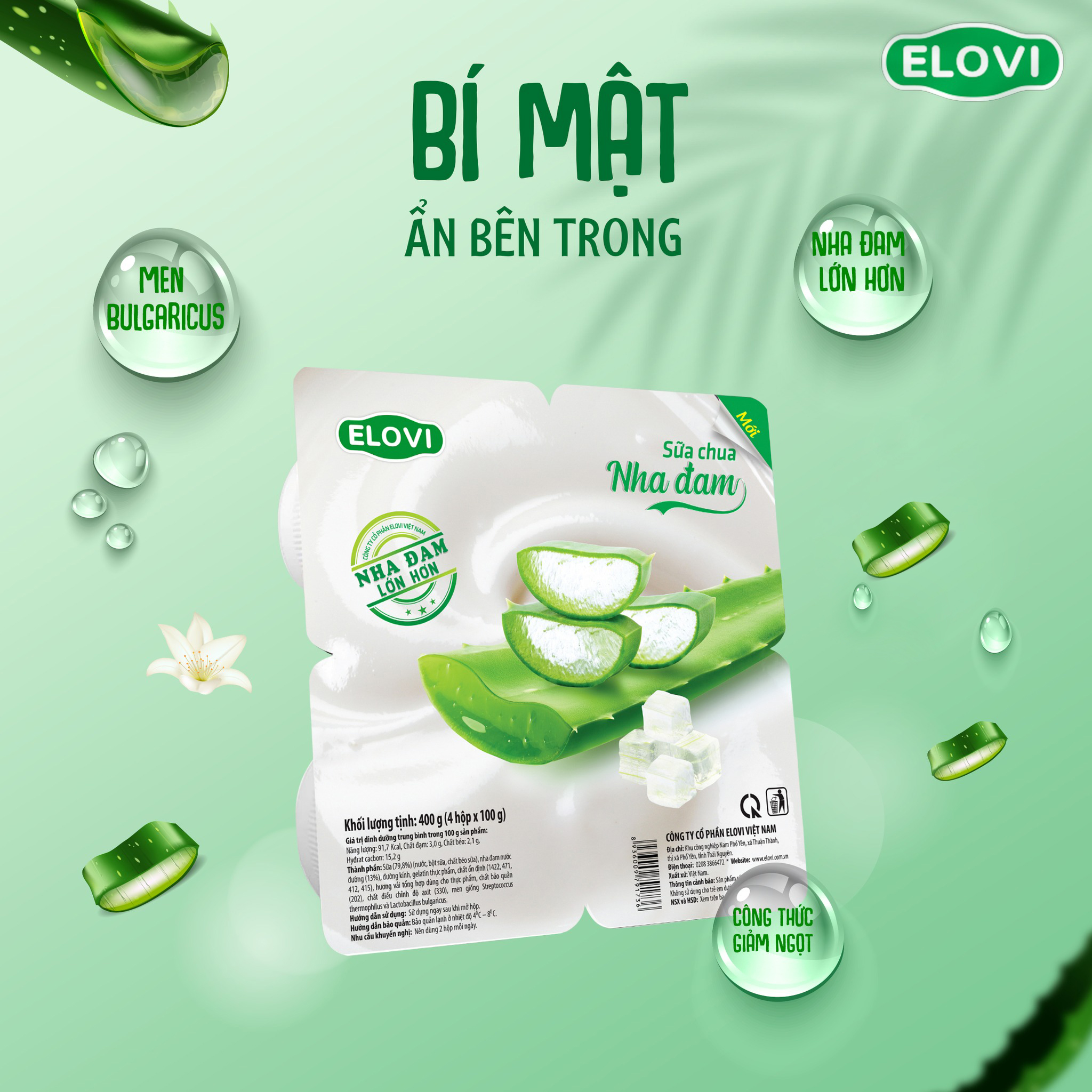 CHÍNH THỨC RA MẮT SẢN PHẨM SỮA CHUA NHA ĐAM ELOVI - Morinaga ...